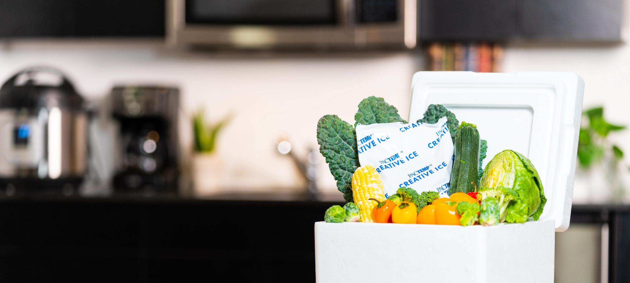 PacTemp Gel Packs - CPC